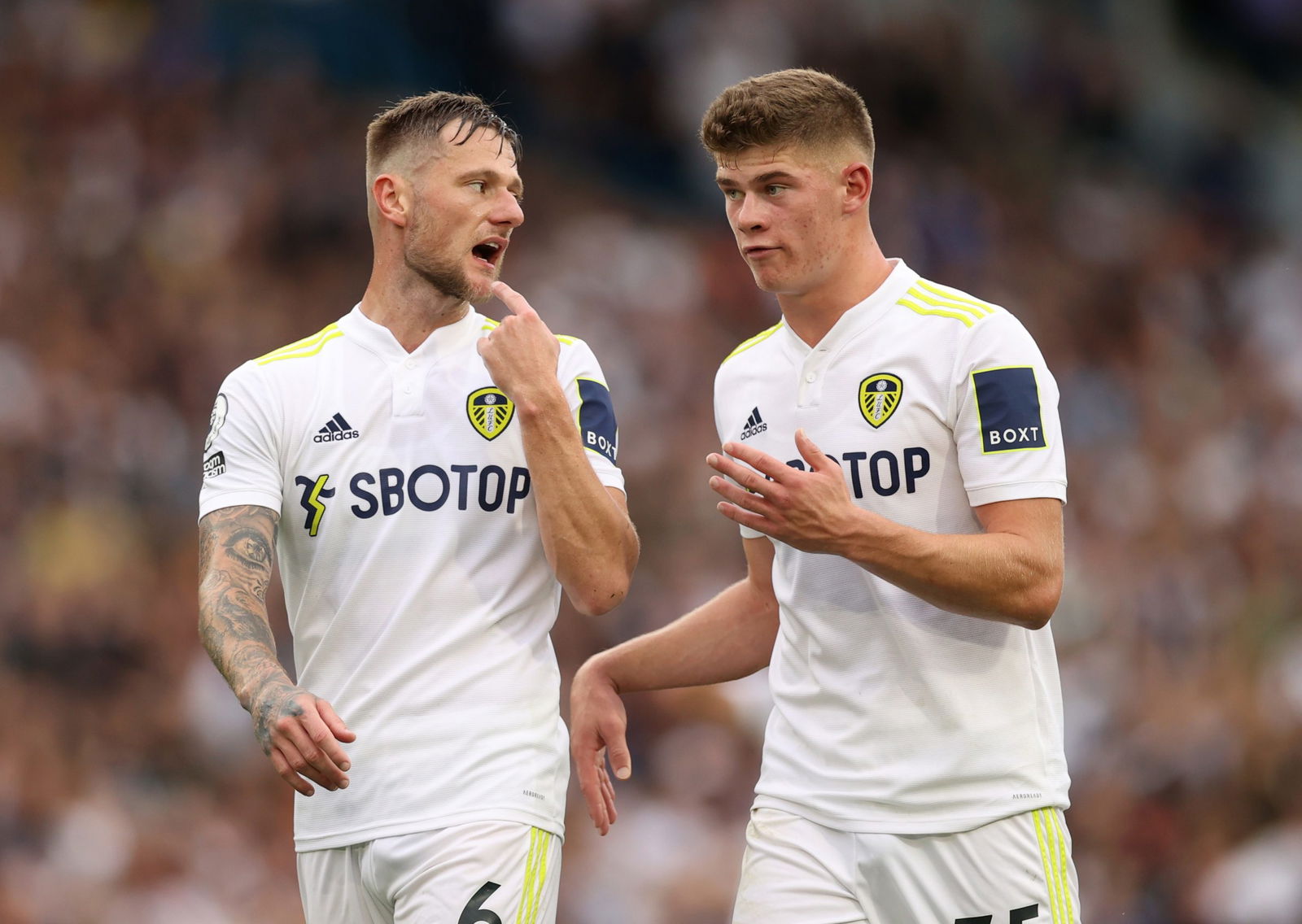 Watch: Positive Leeds United injury update emerges after Newcastle ...