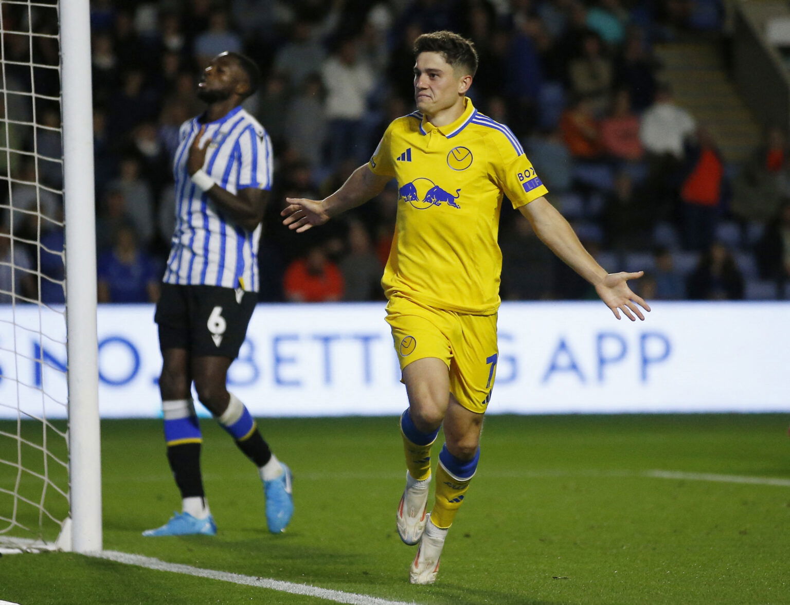 Star player recalled? Last night's Sheffield Wednesday chaos gives ...