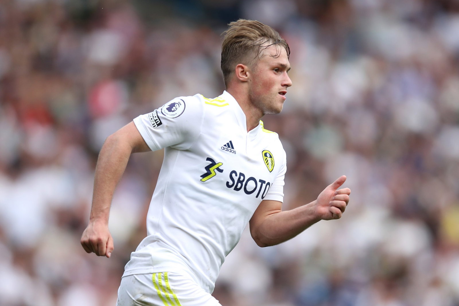 Joe Gelhardt issues defiant message over his potential role at Leeds ...