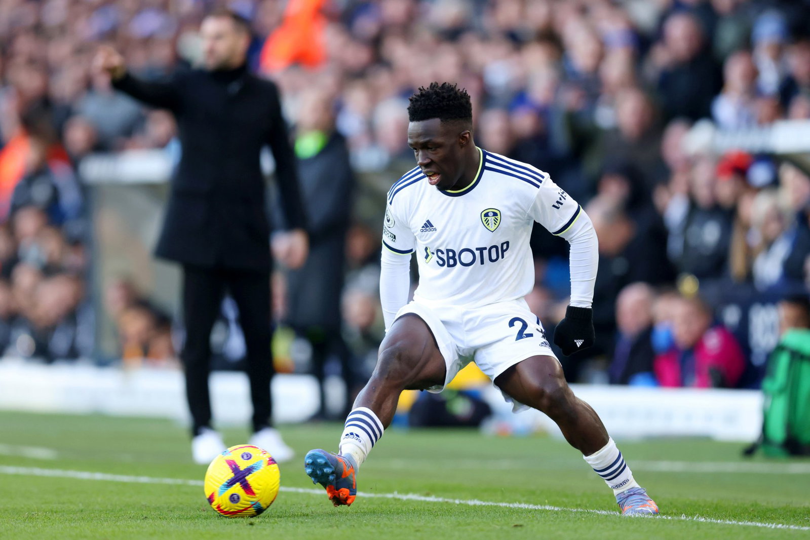 Further Willy Gnonto details emerge amid Leeds United injury worry ...