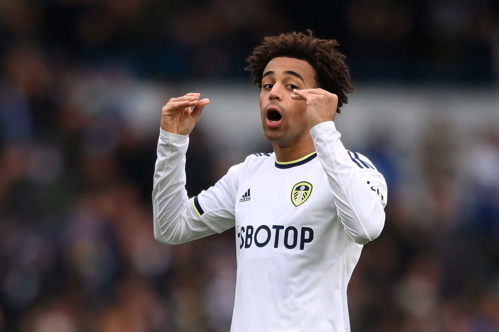 "Well-placed source" shares Tyler Adams' Leeds United exit stance as ...