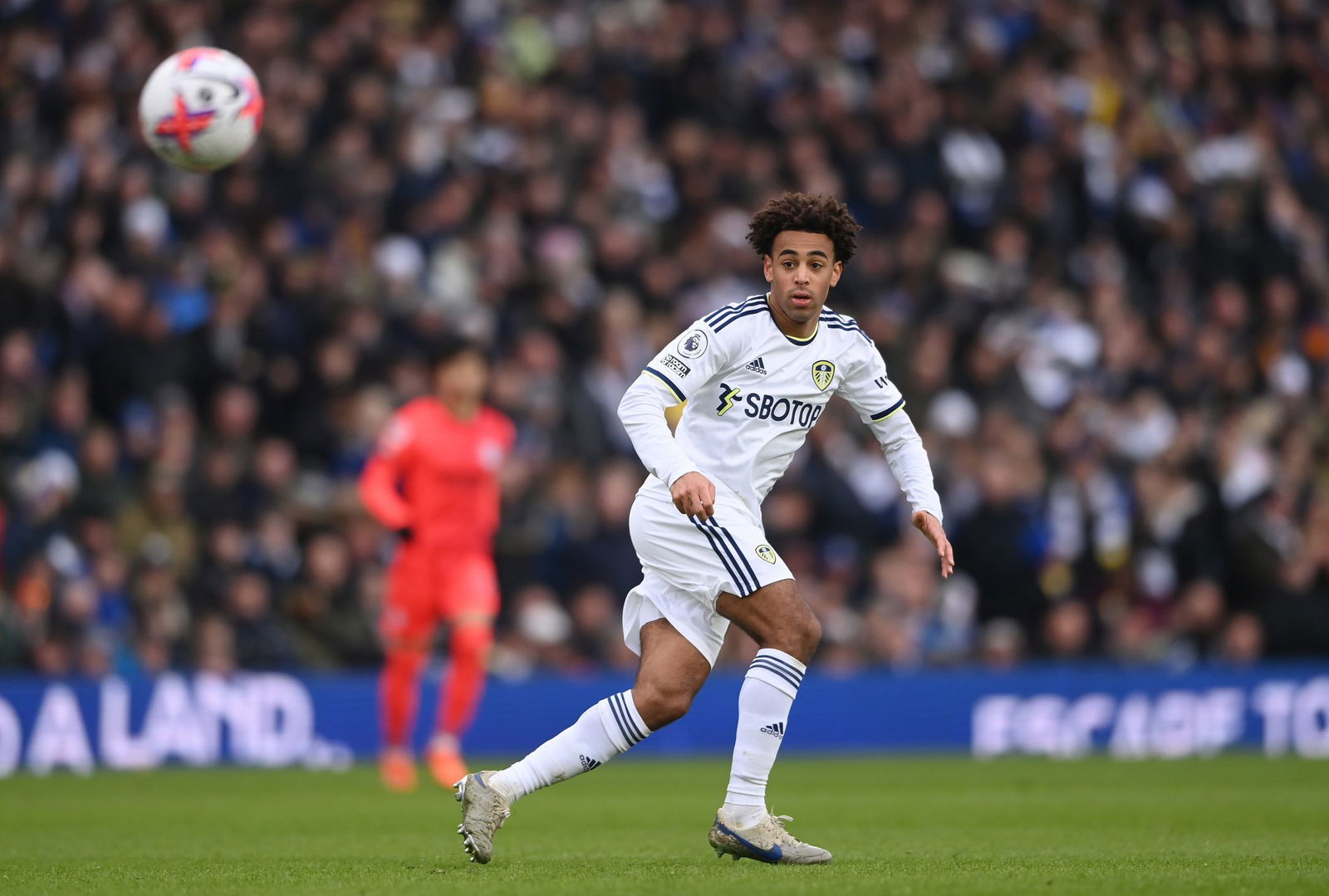 Double-edged Tyler Adams update emerges with Leeds United set for ...