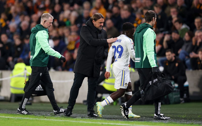 "Swollen" - Daniel Farke shares concerning Leeds United injury update ...