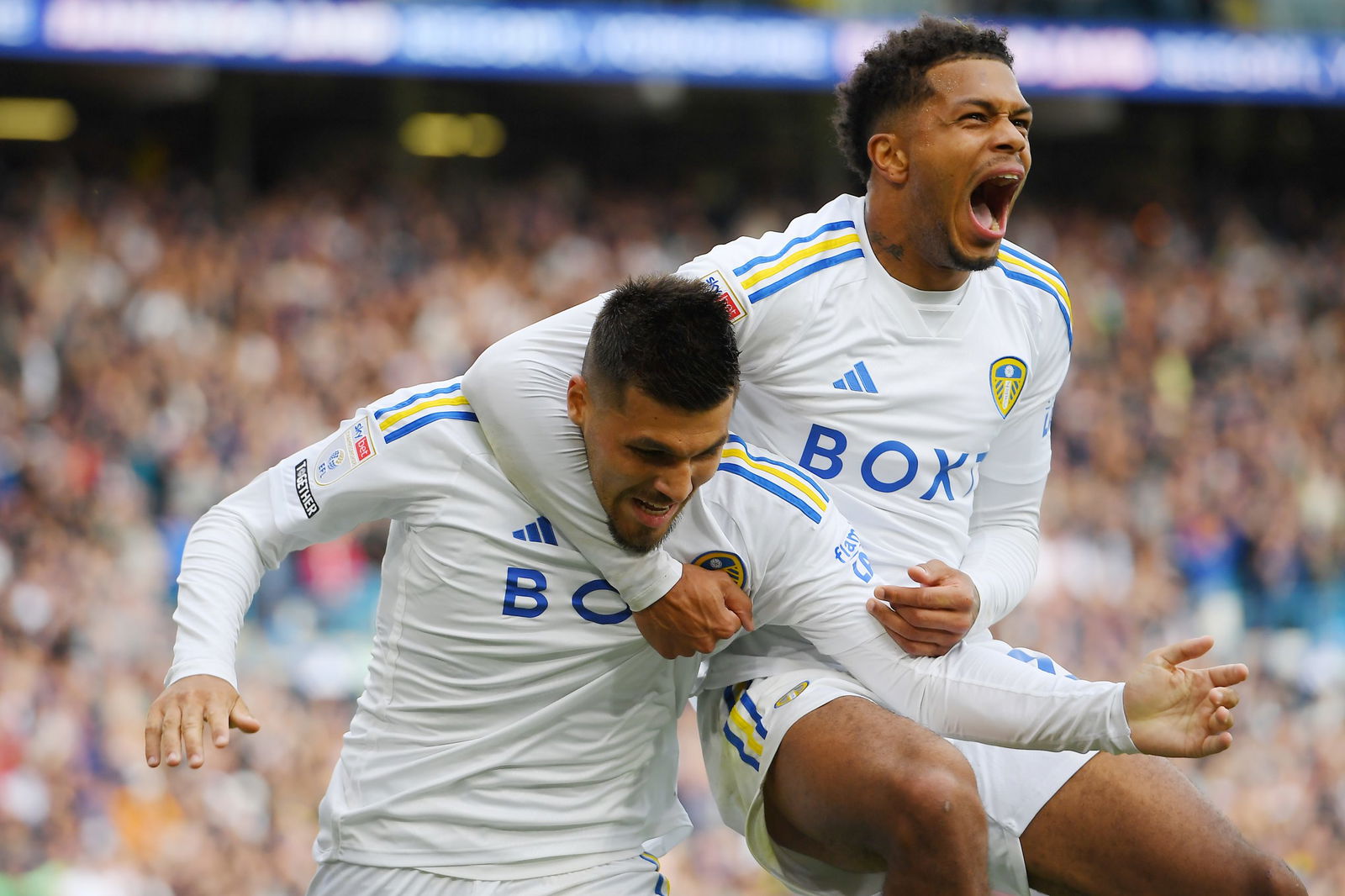 Joel Piroe reveals Leeds United homework that proves why Daniel Farke has specific role for him ...