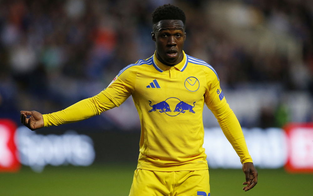 Daniel Farke strongly praised for his role in Leeds United's most ...