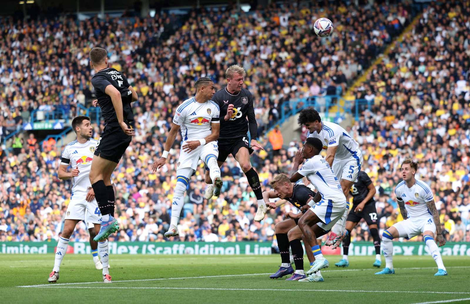 Three-time PL winner offers Leeds United unique answer to Ch'ship teams ...