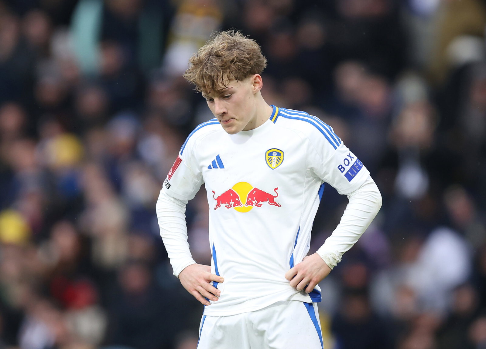 Leeds confirm Sam Chambers contract until 2028
