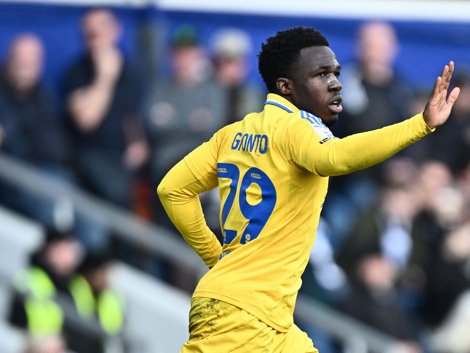 Willy Gnonto ankle injury update