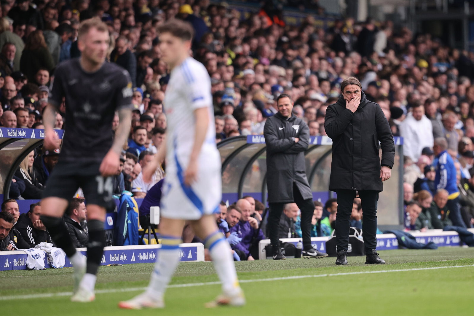 Leeds United Analysis: Could back-three formation work under Daniel Farke?