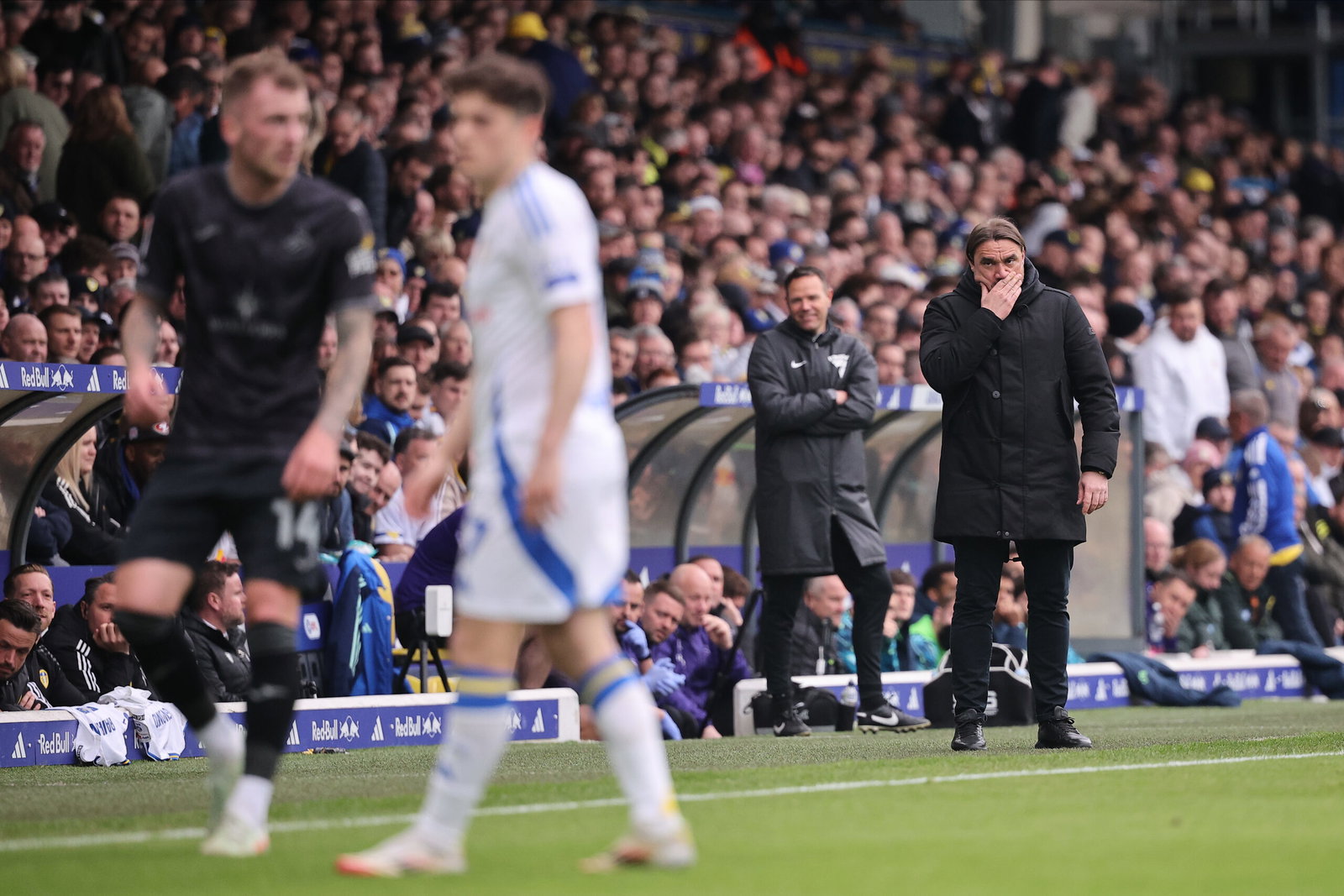 Leeds United News: 47.8% of fans want Farke to stay