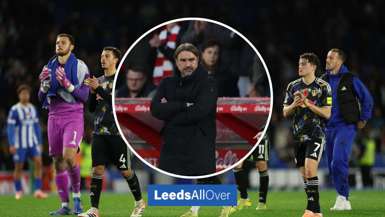 Leeds United fans have made their mind up on Daniel Farke