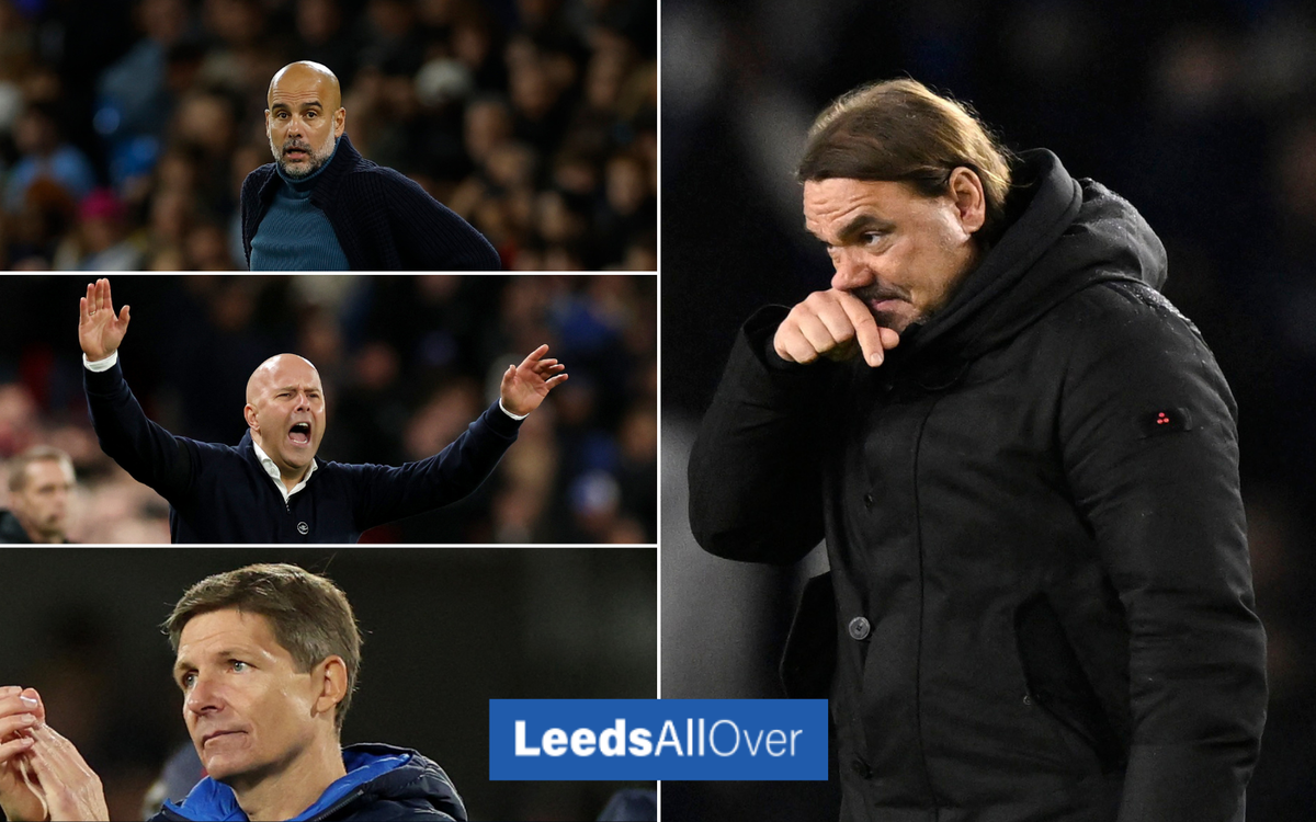 Daniel Farke makes bold Leeds United survival claim after Sunday
