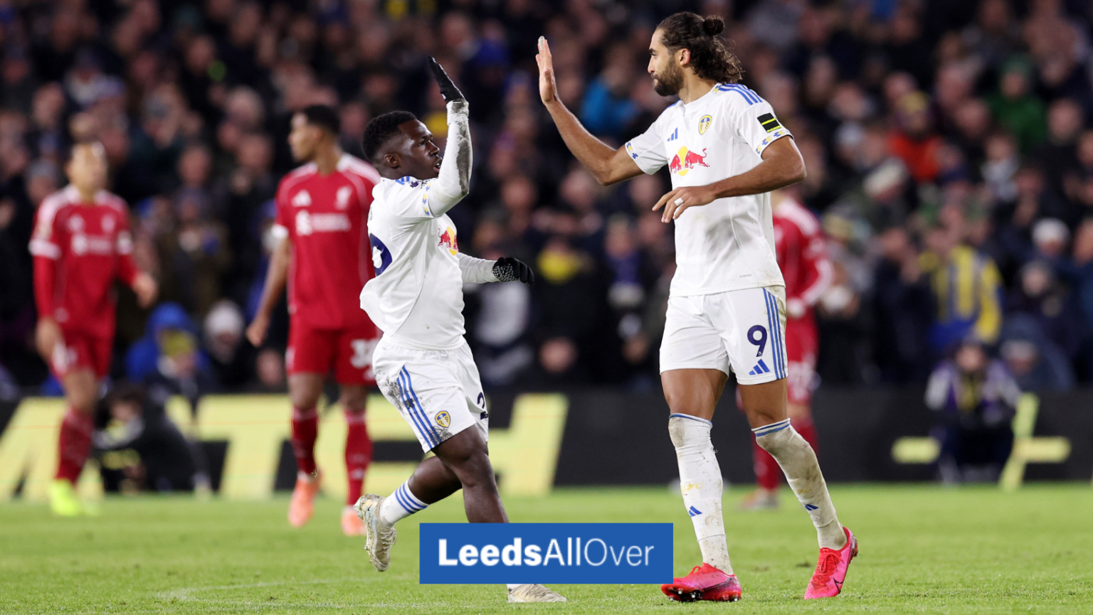 Willy Gnonto is Leeds United's striker solution after deadline day