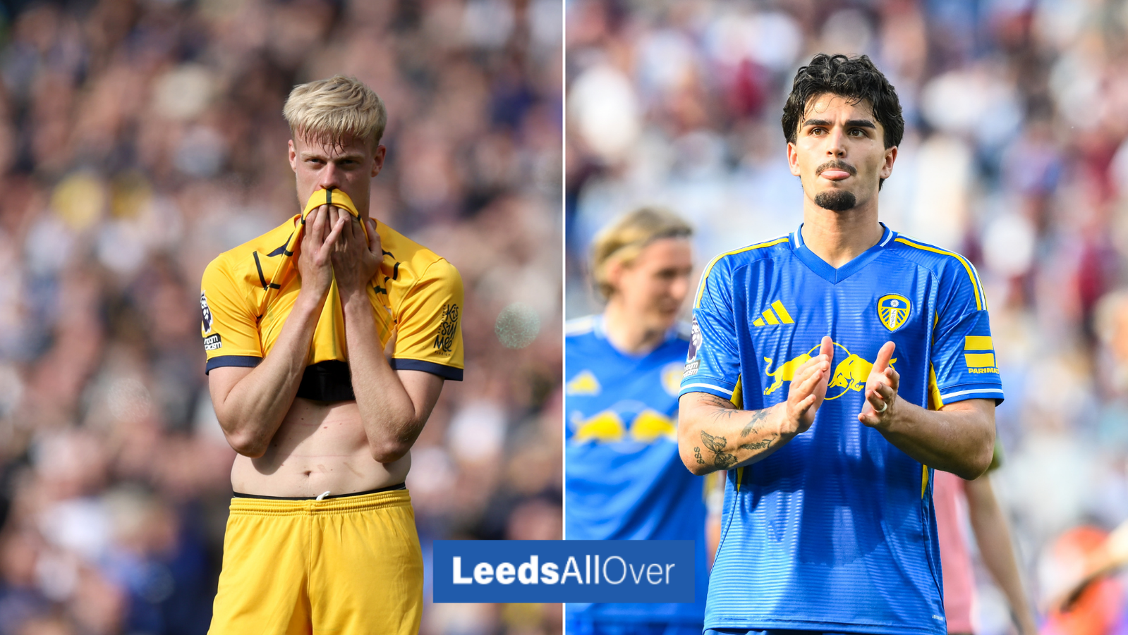 Brighton want £70m for Jan Paul van Hecke - Leeds must copy